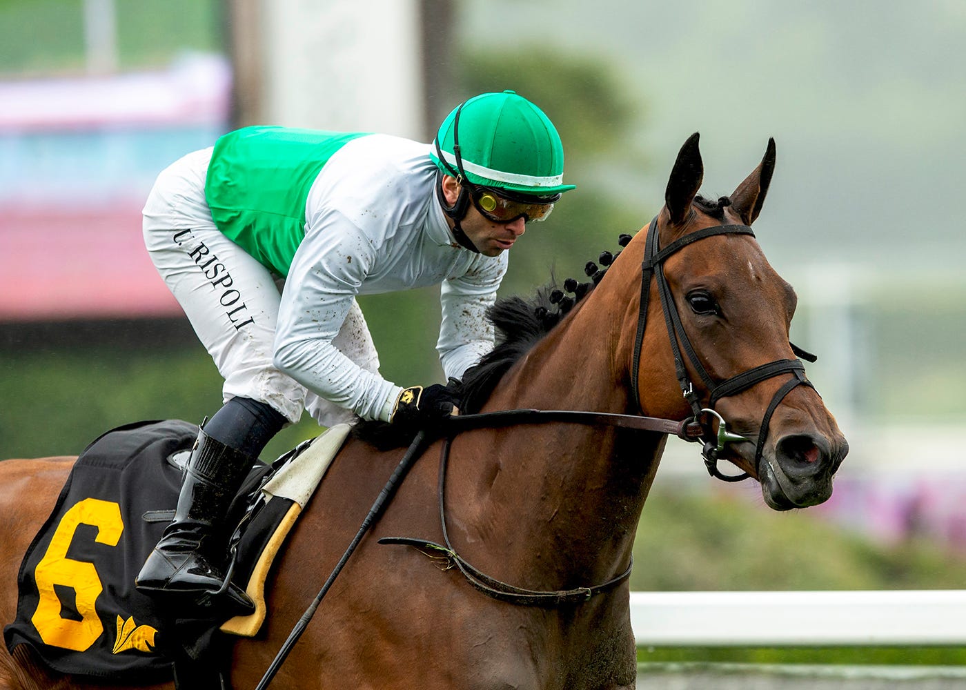 Rispoli makes no mistake in riding Mrs. Astor to Santa Barbara victory